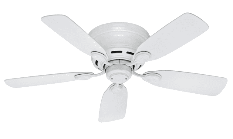 5 Best Office Ceiling Fans: Cool Work Choices (2025)